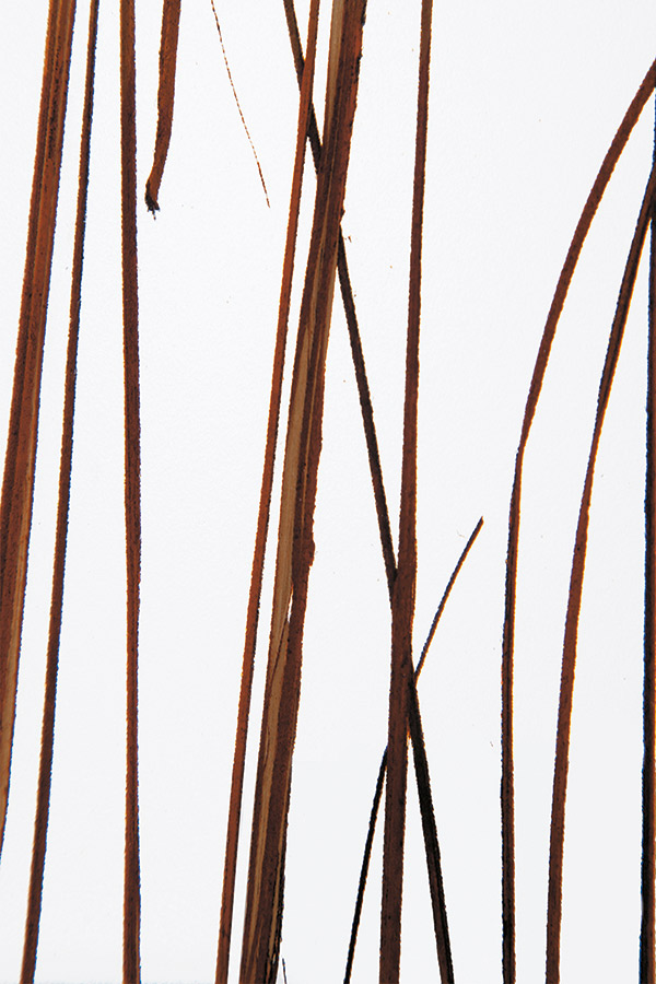 Quattro Carbon 3Form Resin Cabinet Door Inserts - Omega